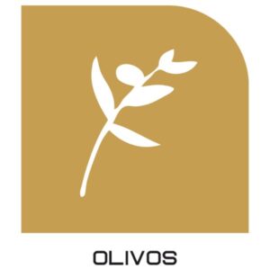 Metro Olivos en la Ciudad de México - Metro de México