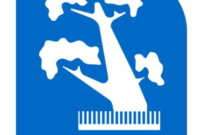 Metro Morelos: Información completa sobre esta emblemática estación de ...